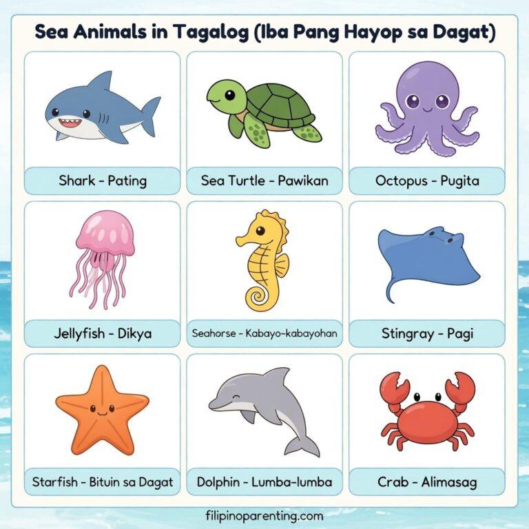Sea Animals in Tagalog: 40+ Easy & Essential Ocean and Water Animal Names