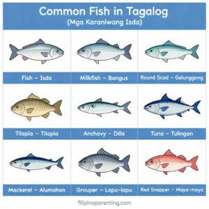 Sea Animals in Tagalog: 40+ Easy & Essential Ocean and Water Animal Names