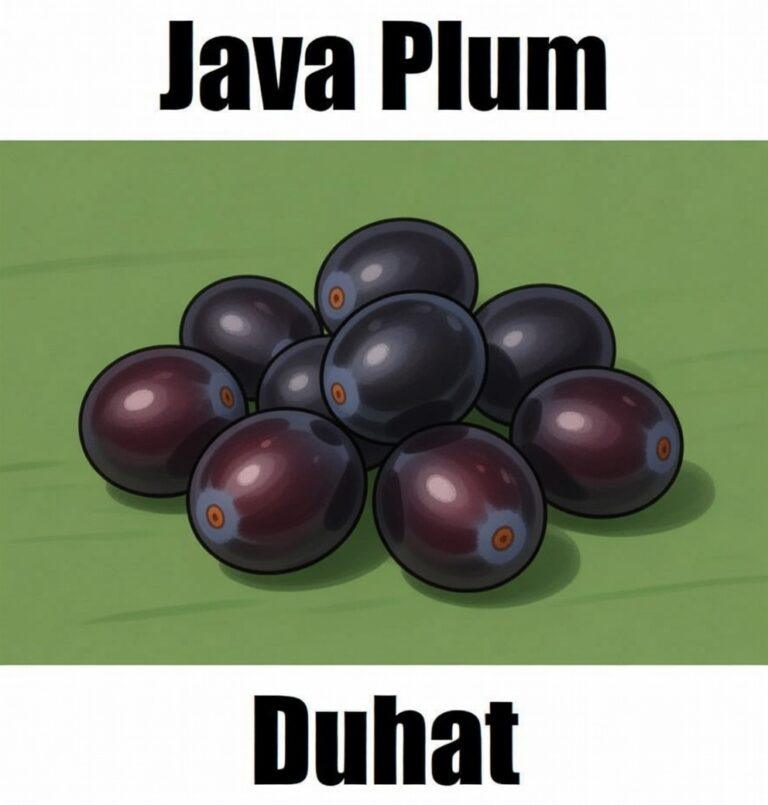Java Plum in Tagalog: 15 Powerful Facts, Meaning, Vocabulary, and ...