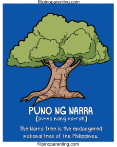 Narra Tree: Cultural Symbol and Natural Wonder of the Philippines