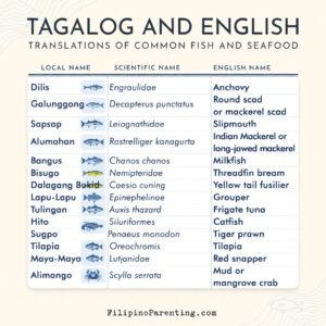 Tagalog to English Fish & Seafood Names: 14 Essential Translations You ...