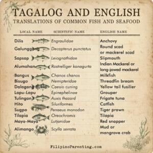 Tagalog to English Fish & Seafood Names: 14 Essential Translations You ...