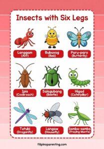 25 Helpful Insect Names in Tagalog (Mga Insekto with English ...