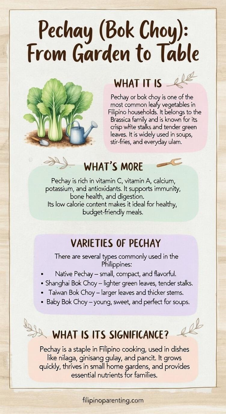 Filipino Vegetable Gardening: 10 Essential Vegetables for Your Backyard 🌱
