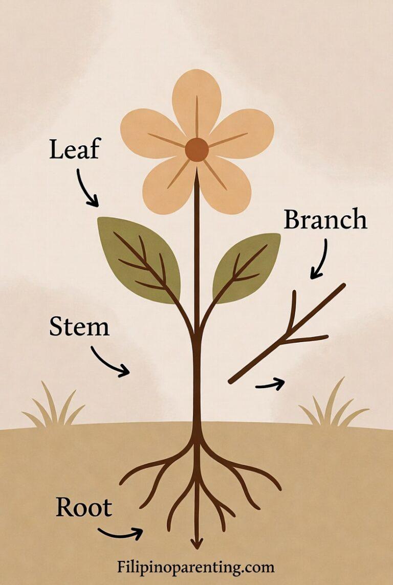 Tagalog Words for Plants: 15 Beautiful Filipino Plant Names Every ...